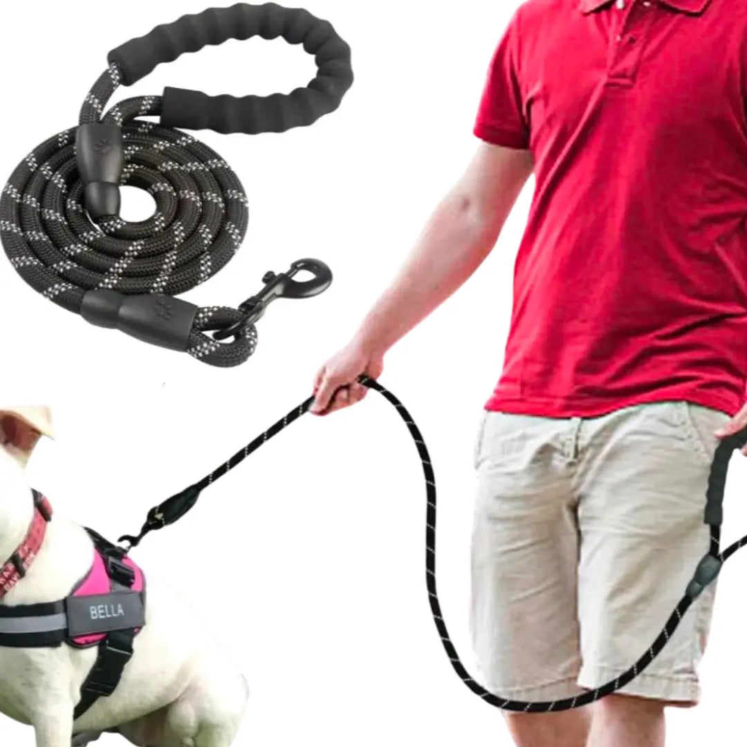 Shop Premium Reflective Dog Leash: Safe Night Walks | Anodic Products